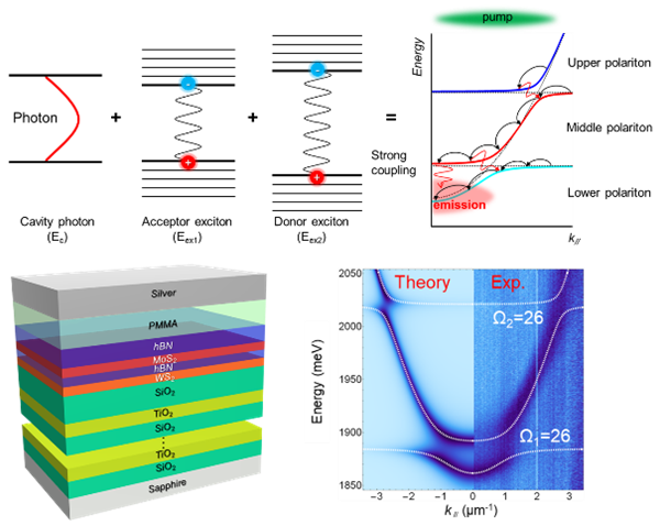 Multifunctional Optoelectronic Devices and Physics Multifunctional Optoelectronic Devices and Physics